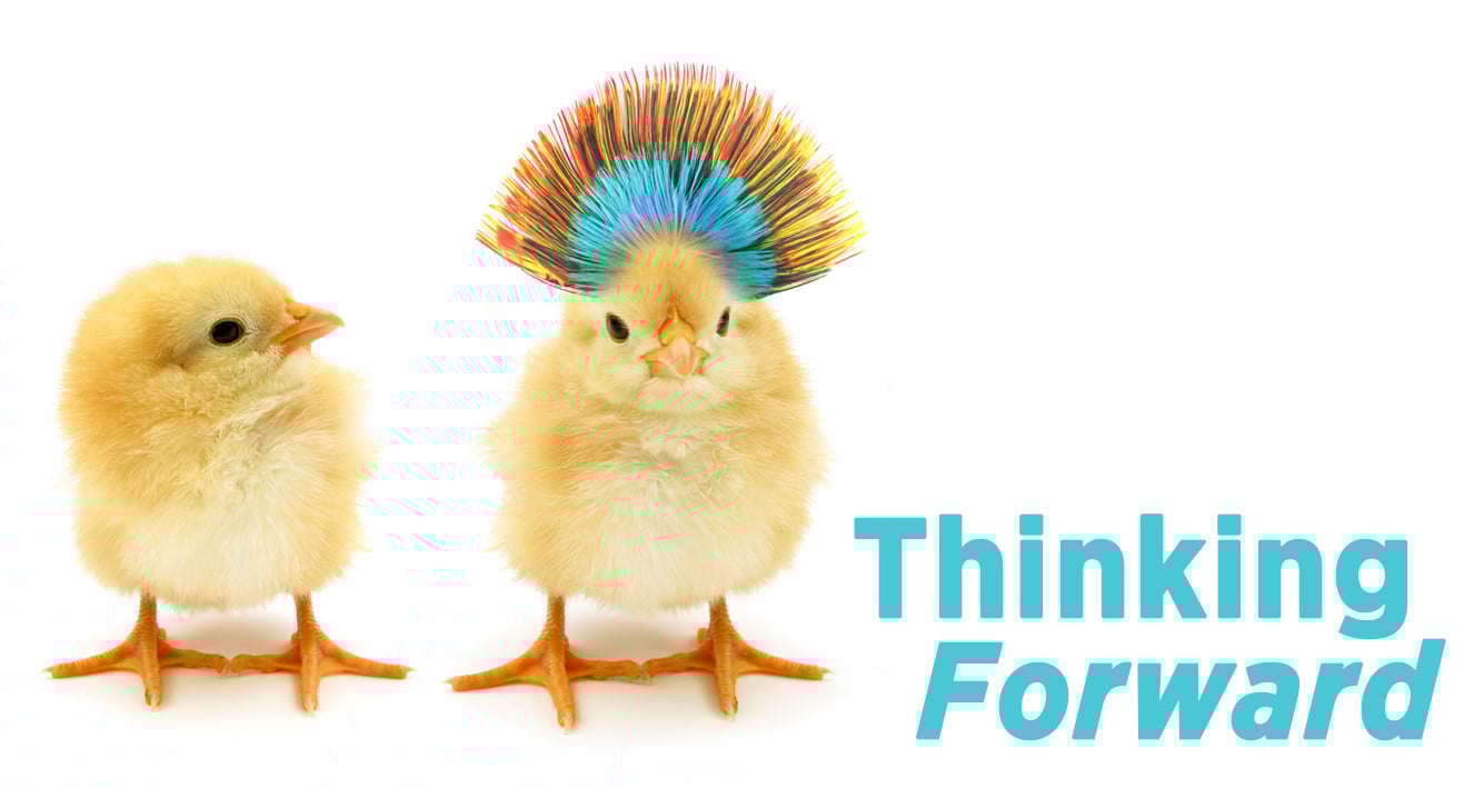 Thinking Forward
