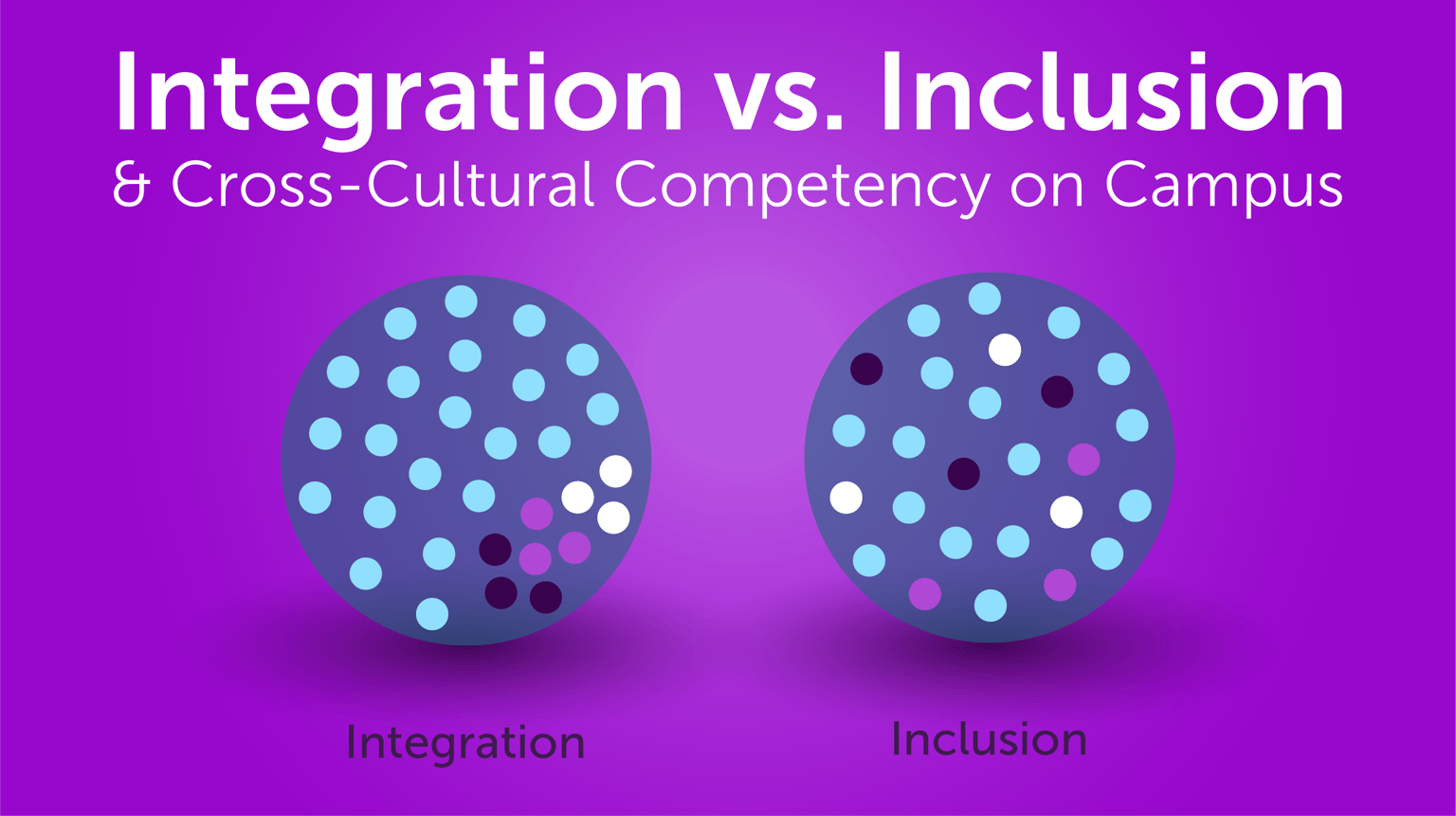Integration vs. Inclusion & Cross-Cultural Competency on Campus